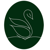 Q&A with Christine Appleyard, author of ‘Advent’ – Stryvling Press